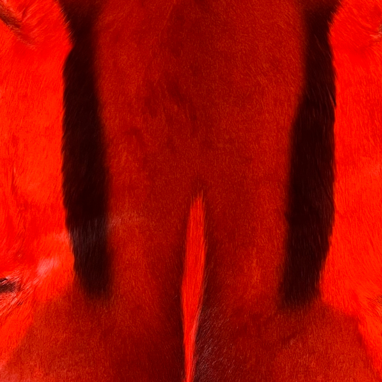 Leather Studio - Springbuck rugs Orange